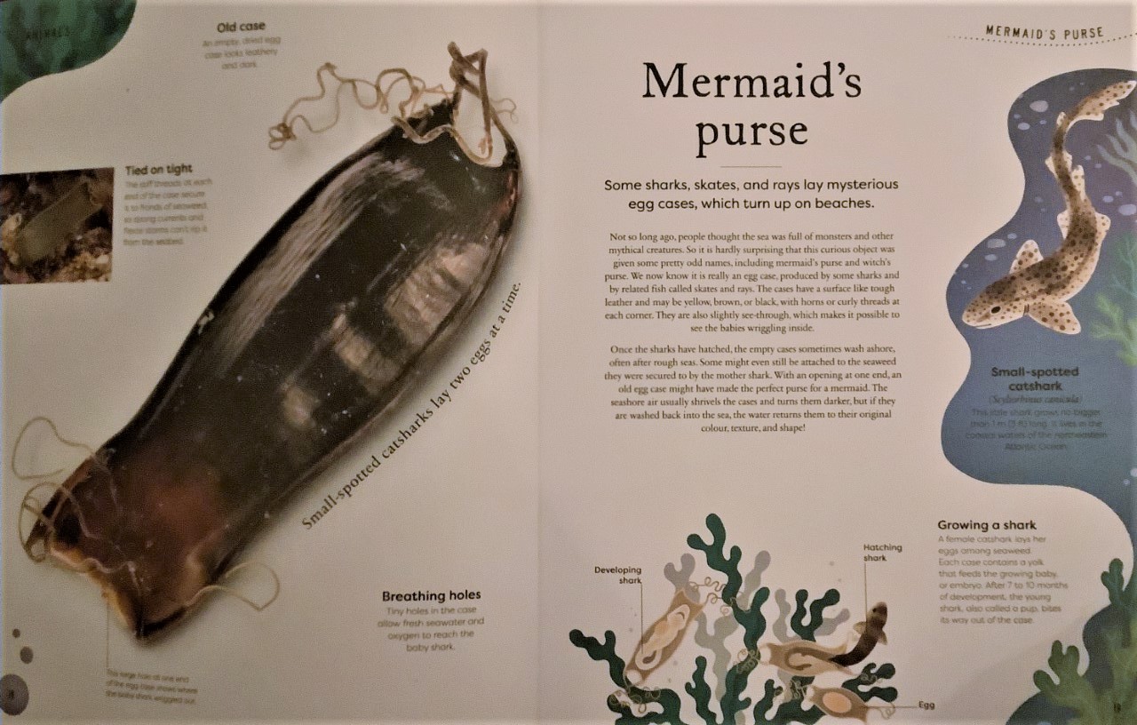 Review: Nature’s Treasures – Book Craic