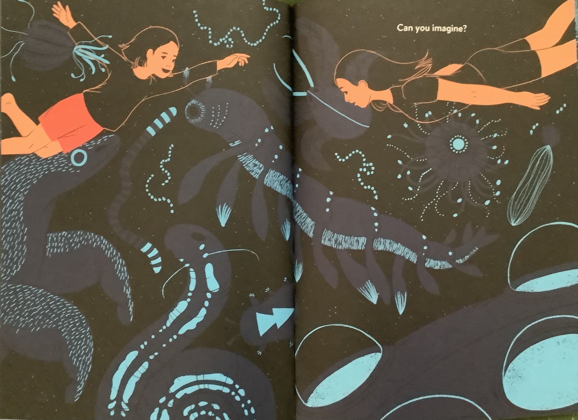 Picture Book Review: Luminous Living Things That Light Up the Night ...