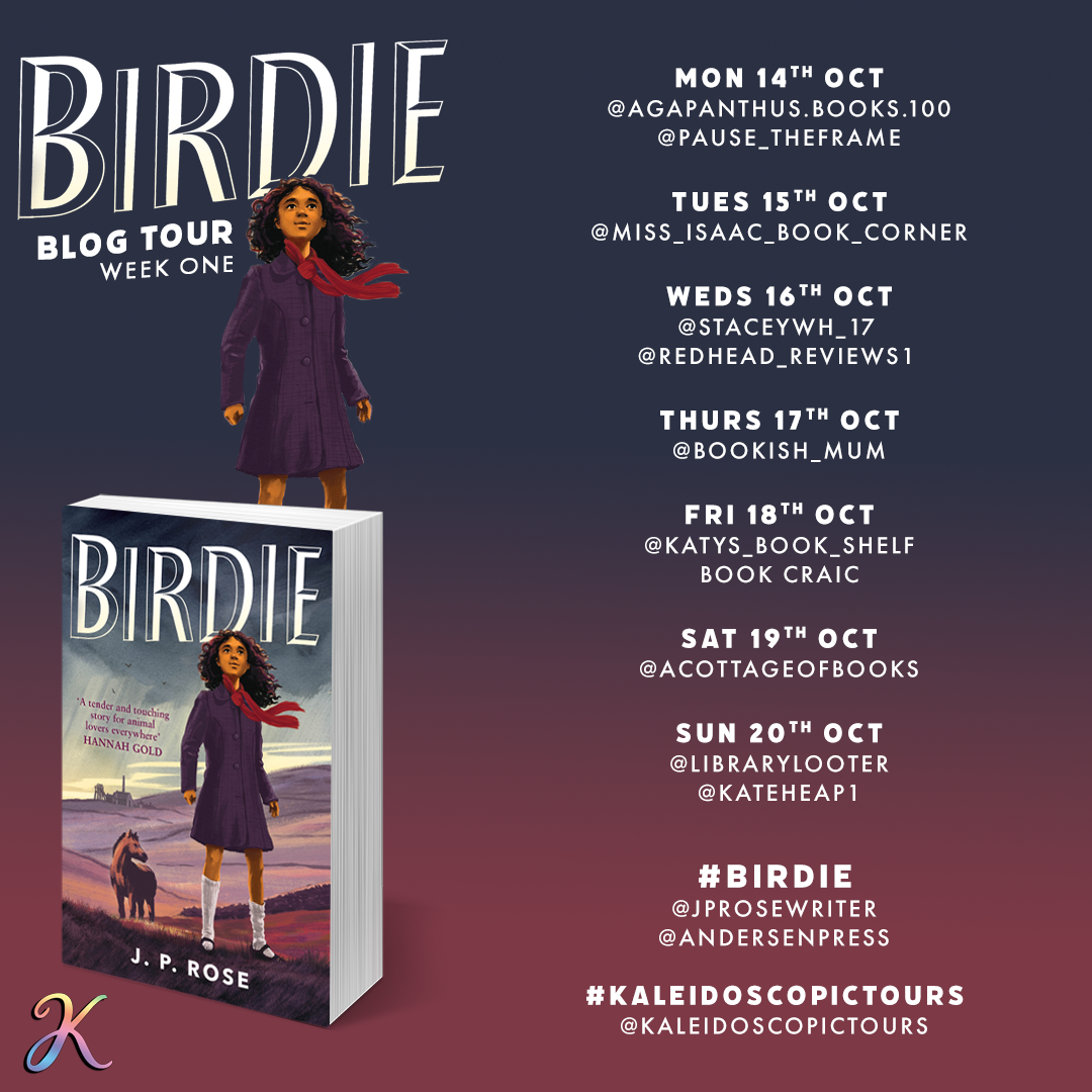Blog Tour Review: Birdie by J P Rose – Book Craic